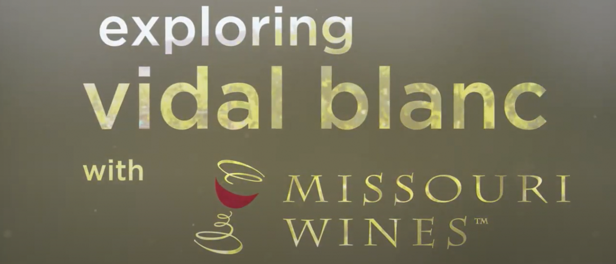 Explore Vidal Blanc - Video | MO Wines